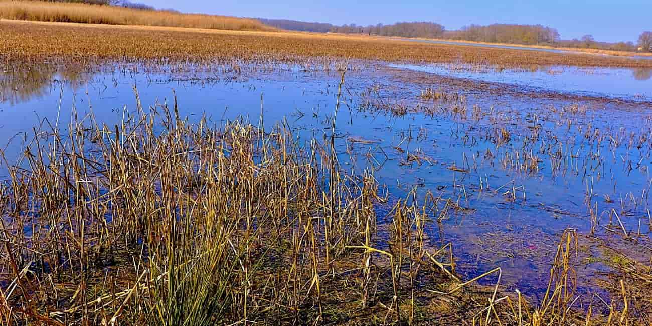 La Dombes, une terre historique de l'Ain - CC Chalamont